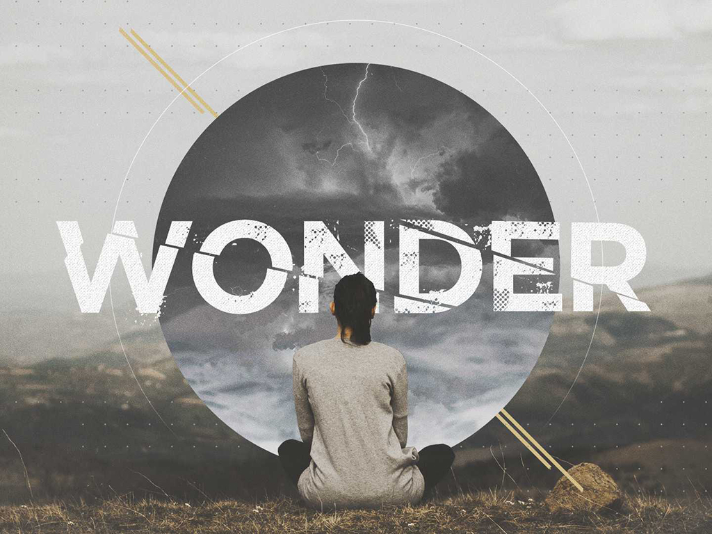 Wonder