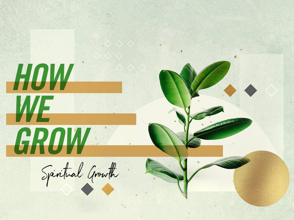 How We Grow
